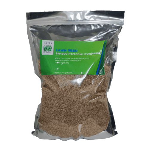 SR4650 Perennial Ryegrass Seed 2kg – Akers of Lawn